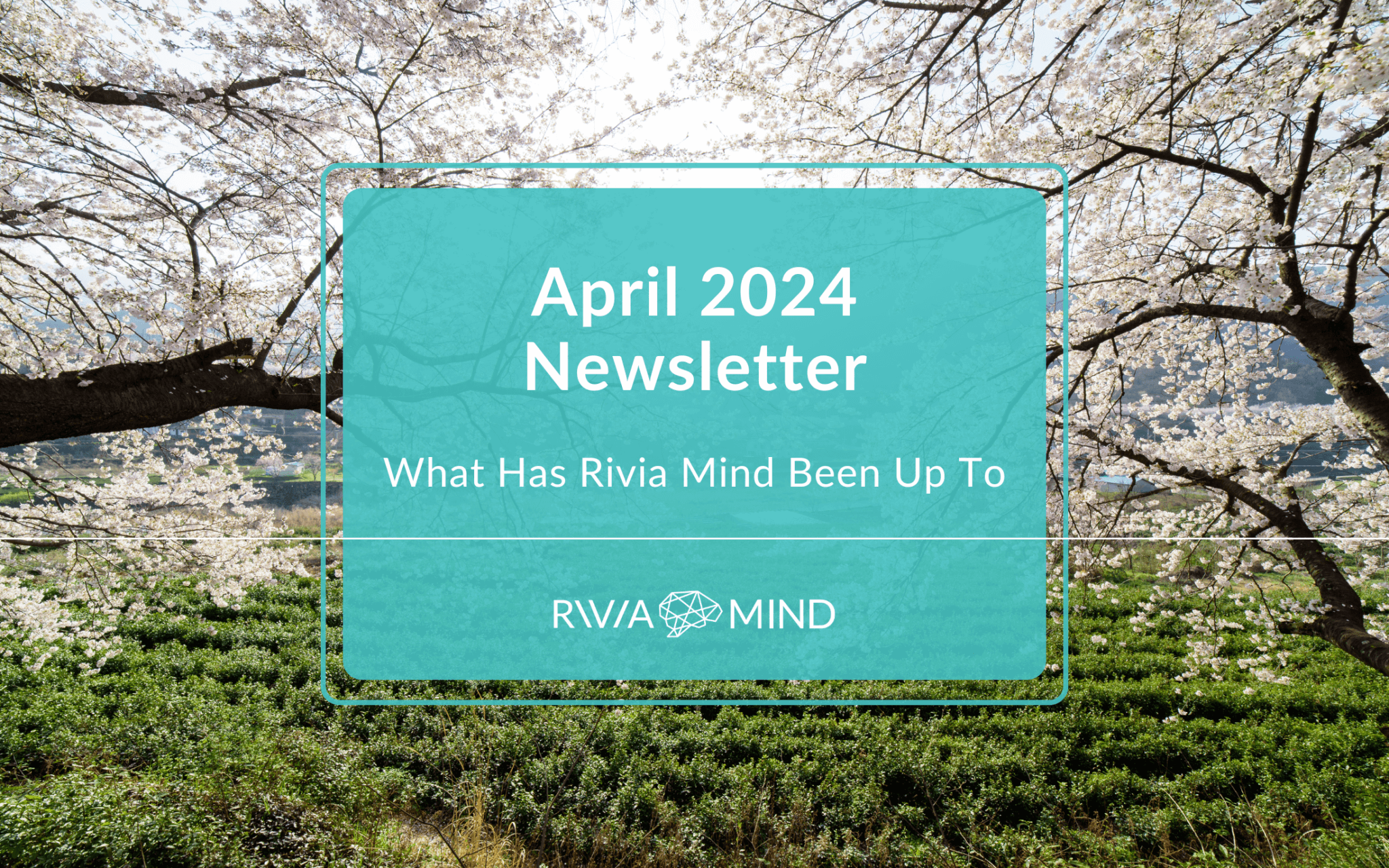 April News From Rivia Mind | Rivia Mind